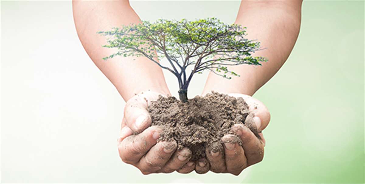 2025 Green Guardians - City of Douglasville, GA